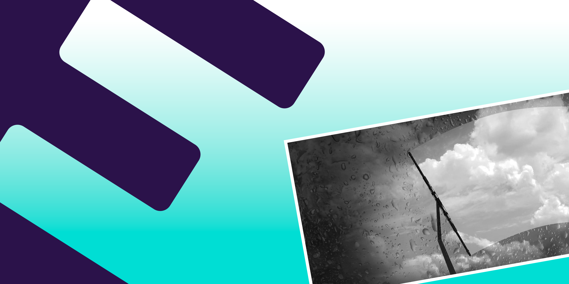 Everything you need to know about a Buzz Day™