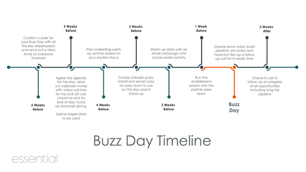 Everything you need to know about a Buzz Day™